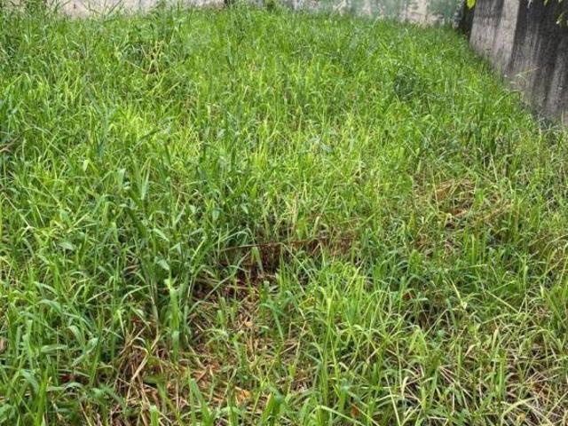 Terreno à venda, 179 m² por R$ 540.000,00 Vila Matilde São Paulo/SP