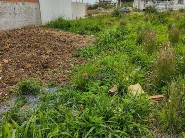 Terreno à venda, 170 m² por R$ 250.000,00 Costeira Araucária/PR