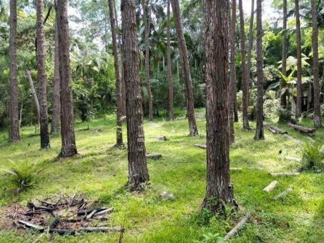 Terreno à venda, 17232 m² por R$ 650.000,00 Taipas de Pedra São Roque/SP