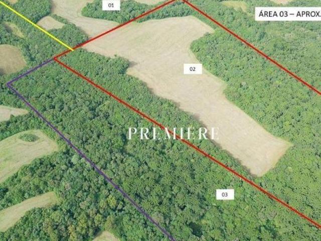 Terreno à venda, 181500 m² por R$ 17.500.000,00 Butiatuva Campo Largo/PR