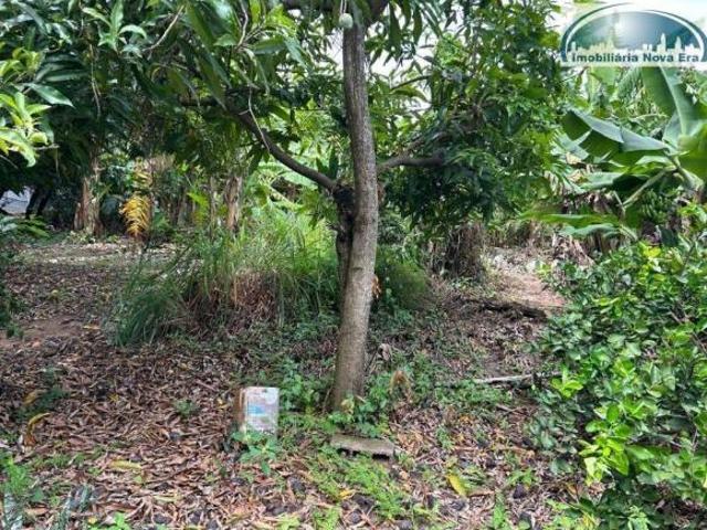 Terreno à venda, 1940 m² por R$ 5.000.000,10 Santa Rosa Vinhedo/SP