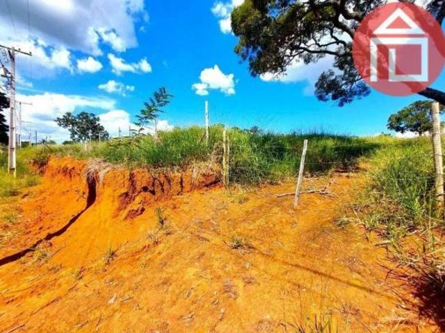 Terreno à venda, 1950 m² por R$ 320.000,00 Curitibanos Bragança Paulista/SP