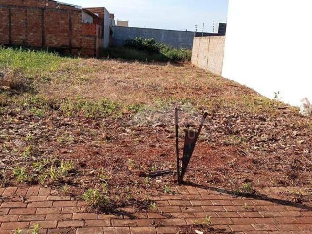Terreno à venda, 196 m² por R$ 148.000,00 Parque da Lagoa Foz do Iguaçu/PR