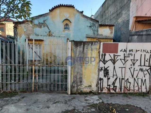 Terreno à venda, 192 m² por R$ 530.000,00 Vila Guilherme São Paulo/SP