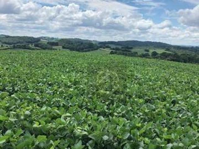 Terreno à venda, 193600 m² por R$ 1.760.000,00 Água Amarela Antônio Olinto/PR