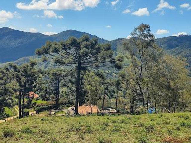 Terreno à venda, 1.500 m² por R$ 360.000 Paiol Grande São Bento do Sapucaí/SP
