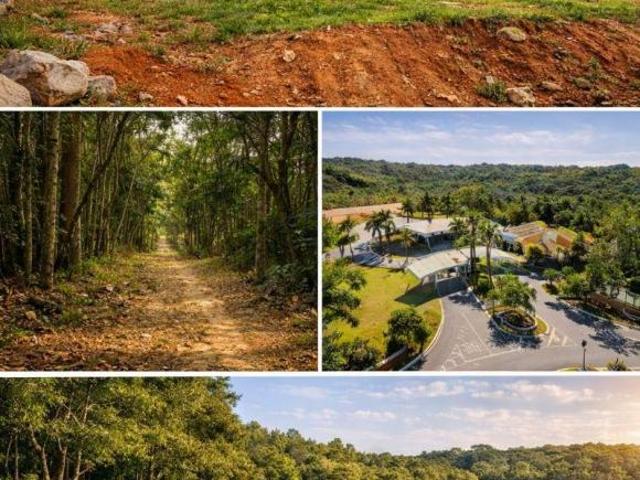 Terreno à venda 1.067M² – Reserva do Ibirapitanga | Santa Isabel/SP