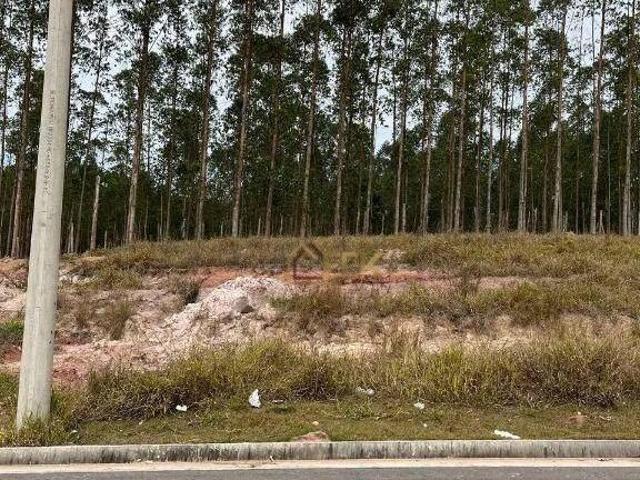 Terreno à venda, 204 m² por R$ 233.000,00 Vila Amélia São José dos Campos/SP