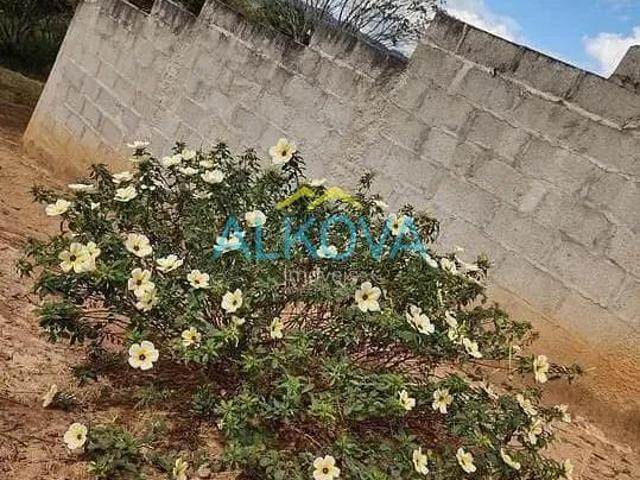 Terreno à venda, 2060 m² por R$ 320.000,00 Bairrinho São José dos Campos/SP