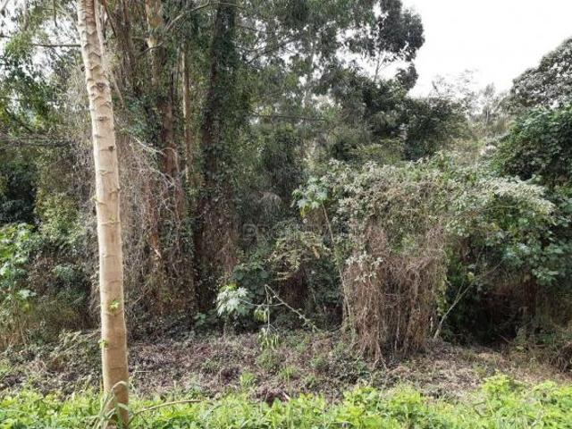 Terreno à venda, 2085 m² por R$ 700.000,00 Granja Viana Cotia/SP
