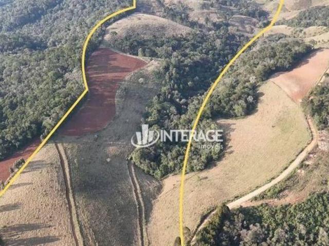 Terreno à venda, 209000 m² por R$ 1.275.000,00 Ouro Fino de Baixo Campo Magro/PR