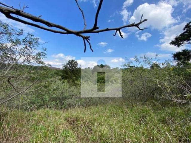 Terreno à venda, 20000 m² por R$ 700.000,00 Joaquim Egídio Campinas/SP