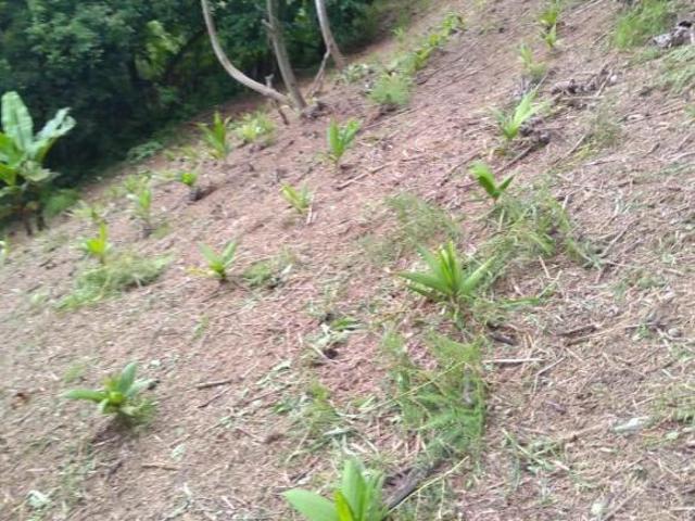 Terreno à venda, 20000 m² por R$ 85.000,00 Rio S