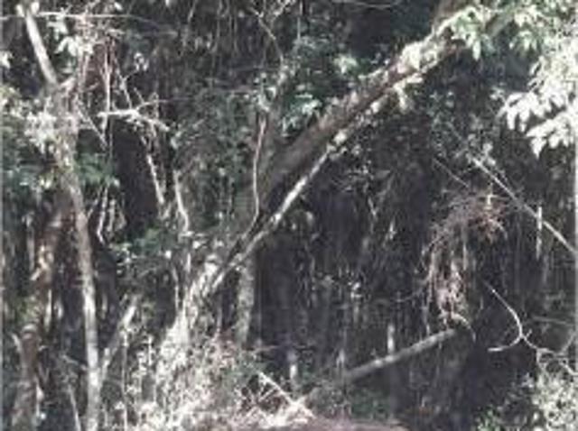 Terreno à venda, 20000 m² por R$ 188.000,00 Águas Claras Viamão/RS