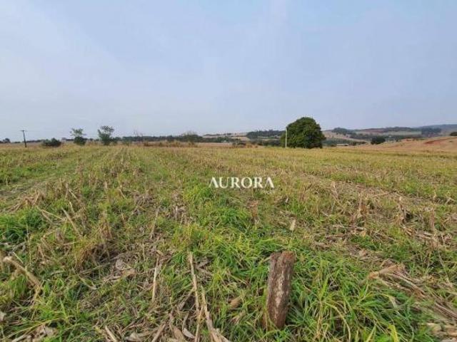 Terreno à venda, 20000 m² por R$ 1.900.000,00 Gleba Palhano Londrina/PR