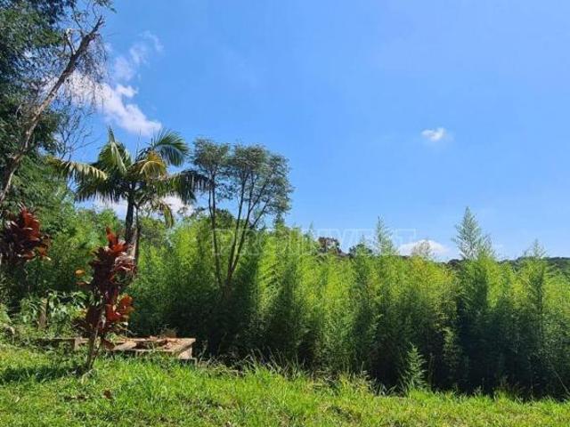Terreno à venda, 20000 m² por R$ 3.000.000,00 Tijuco Preto Cotia/SP