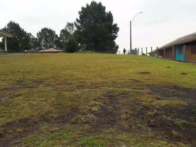 Terreno à venda, 2000 m² Distrito Industrial Canela/RS