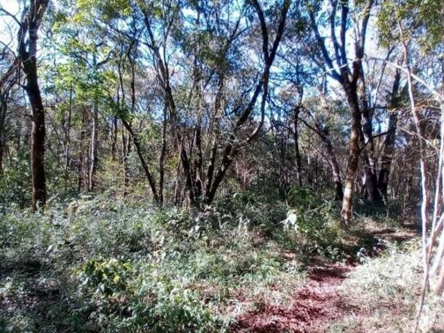 Terreno à venda, 2000 m² por R$ 1.419.000,00 São Gabriel Colombo/PR
