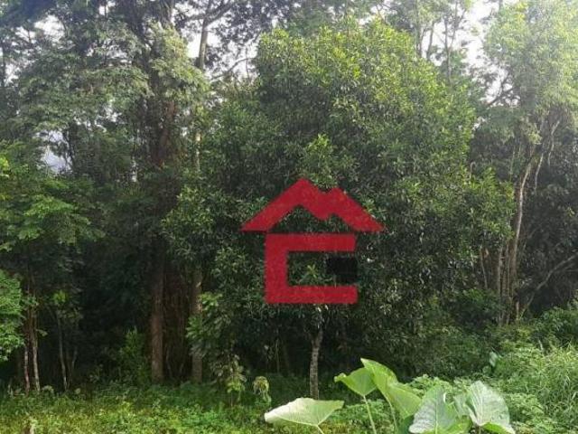 Terreno à venda, 2000 m² por R$ 700.000,00 Jardim Pioneira Cotia/SP