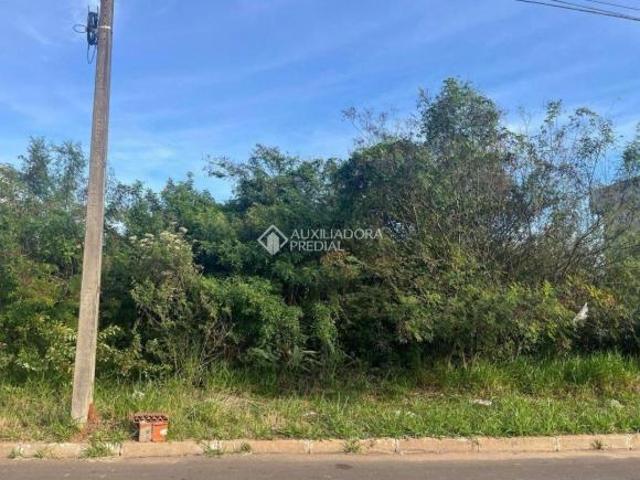 Terreno á venda 200m² bairro Mont Serrat Canoas