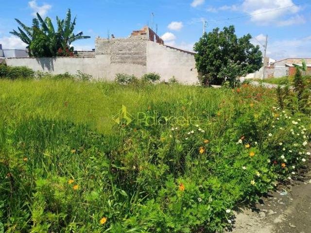 Terreno à venda 200M², Cesar Park, Pindamonhangaba SP