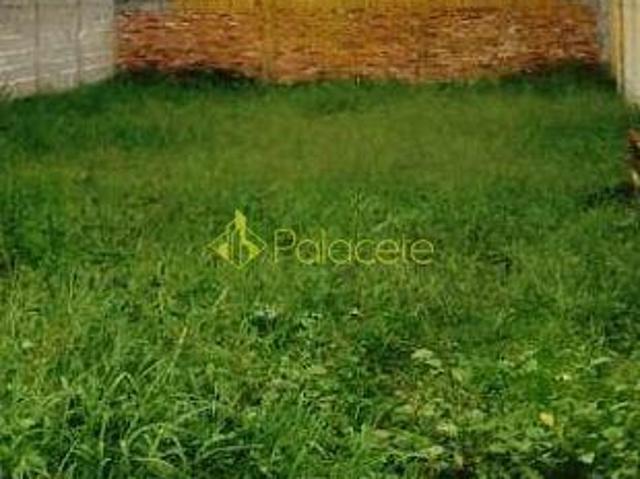 Terreno à venda 200M², Parque das Palmeiras, Pindamonhangaba SP