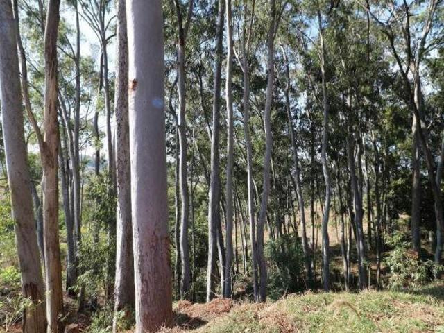 Terreno a venda 20.000m² região estrada dos Piriquitos
