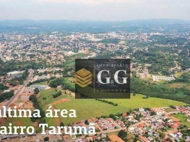Terreno à venda, 216 m² por R$ 100.000,00 Tarumã Viamão/RS