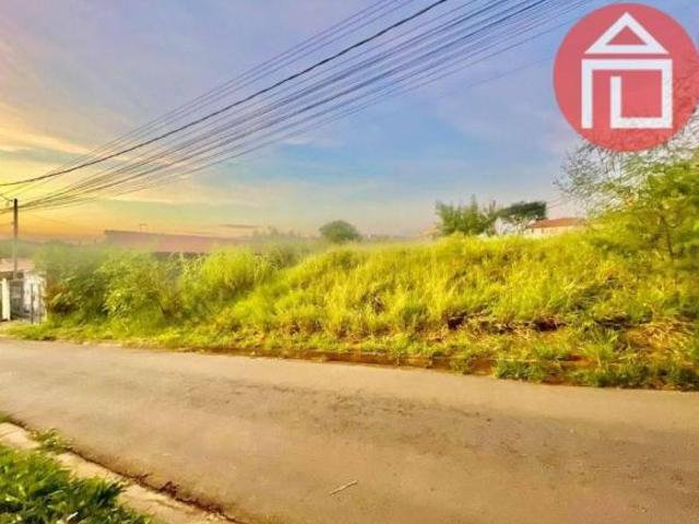 Terreno à venda, 218 m² por R$ 200.000,00 Jardim São Lourenço Bragança Paulista/SP