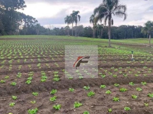 Terreno à venda, 21000 m² por R$ 4.490.000 Umbará Curitiba/PR