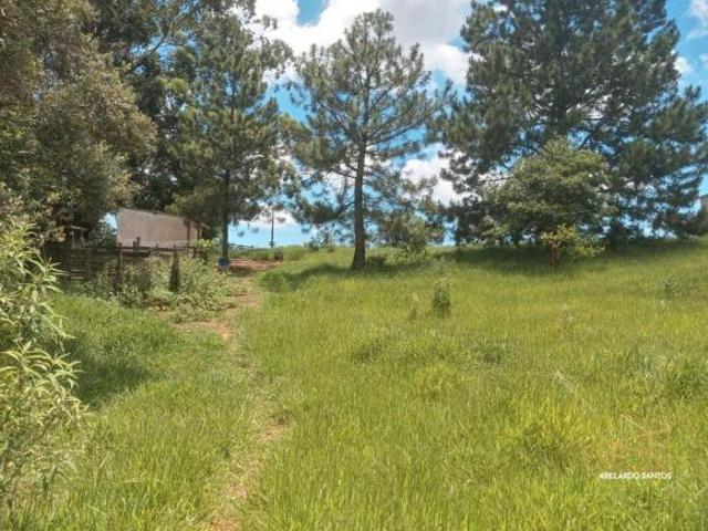 Terreno à venda, 21000 m² por R$ 1.200.000,00 Dona Catarina Mairinque/SP