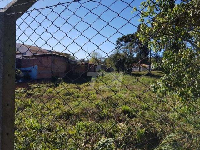Terreno à venda, 2100 m² por R$ 3.135.000,00 Centro Campo Largo/PR