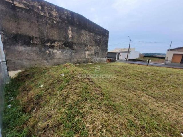 Terreno à venda, 224 m² por R$ 210.000,00 Jardim Regina Botucatu/SP