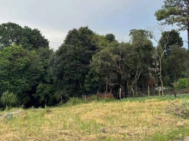 Terreno à venda, 225 m² por R$ 136.500,00 Campo Do Meio Campo Largo/PR