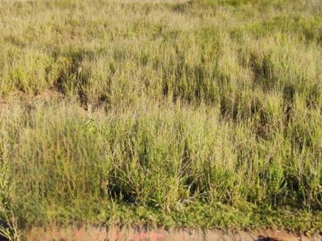 Terreno à venda, 226 m² por R$ 140.000,00 Uberaba Bragança Paulista/SP