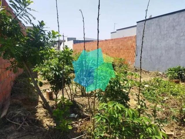 Terreno à venda, 220 m² por R$ 165.000,00 Residencial Vila Martins Salto/SP