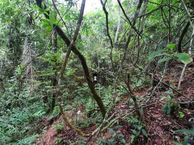 Terreno à venda, 2239 m² por R$ 85.000,00 Terras do Comendador Juiz de Fora/MG