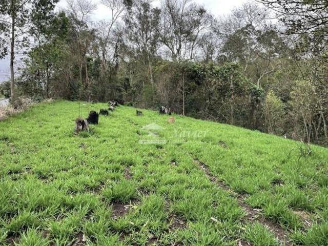 Terreno à venda, 237 m² por R$ 237.000,00 Quinta dos Angicos Cotia/SP