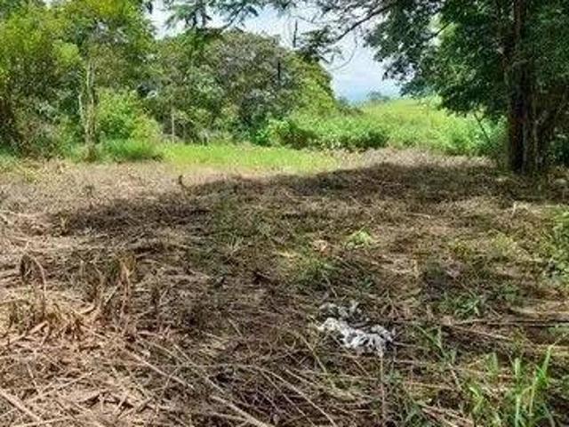 Terreno à venda, 1600 m² por R$ 250.000,00 Chácaras Santa Rita Caçapava/SP