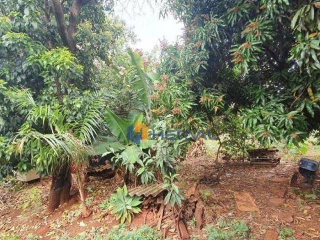 Terreno à venda, 2300 m² por R$ 4.500.000,00 Zona 02 Maringá/PR