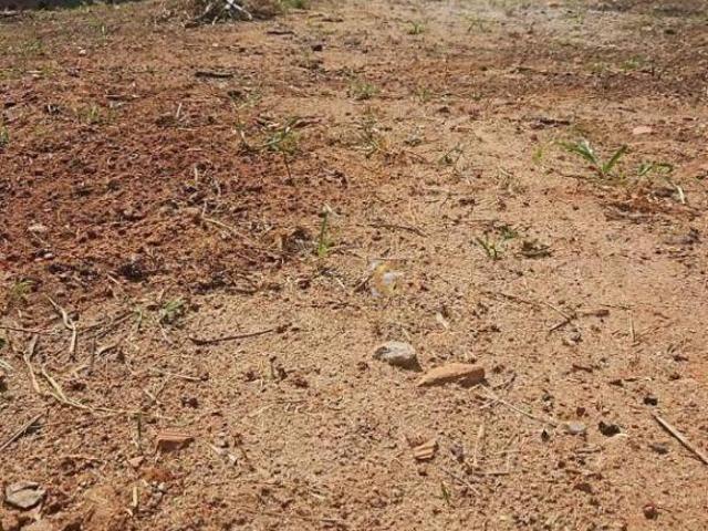 Terreno à venda, 232 m² por R$ 101.000,00 Chácaras Pousada do Vale São José dos Campos/SP