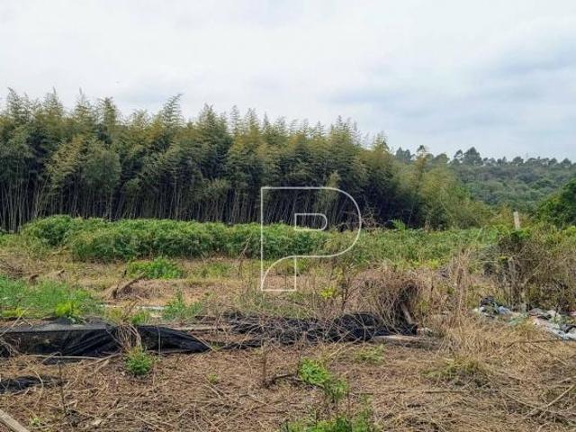 Terreno à venda, 2441 m² por R$ 366.187,50 Jardim das Oliveiras Caucaia do Alto Cotia/SP