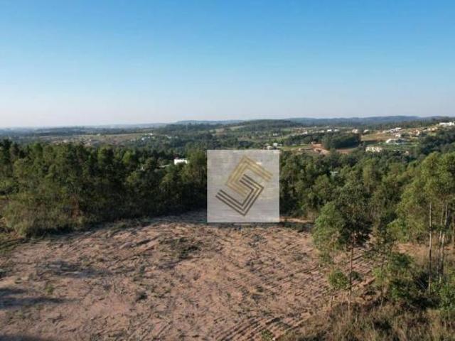 Terreno à venda, 2442 m² por R$ 1.600.000,00 Loteamento Residencial Parque Terras de Santa Cecília