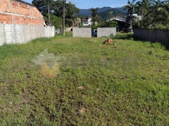 Terreno à venda, 245 m² por R$ 235.000,00 Jardim das Gaivotas Caraguatatuba/SP
