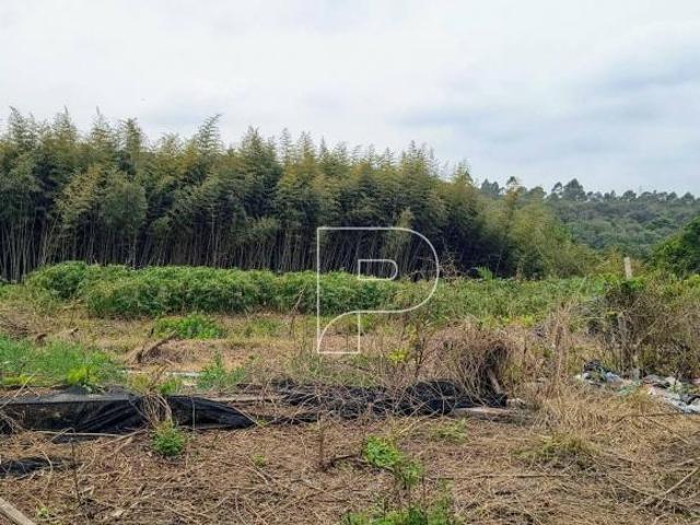 Terreno à venda, 2460 m² por R$ 369.094,50 Jardim das Oliveiras Caucaia do Alto Cotia/SP