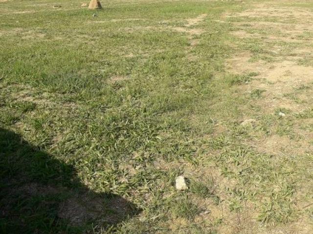 Terreno à venda, 248 m² por R$ 130.000 Jardim Josane Sorocaba/SP