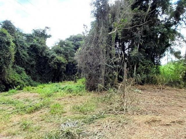 Terreno à venda, 24000 m² por R$ 898.000,00 Parque Rio Abaixo Atibaia/SP