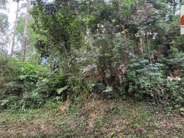 Terreno à venda, 24000 m² por R$ 3.999.000,00 Jardim Cumbica Guarulhos/SP