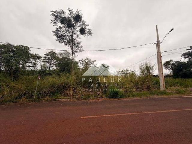 Terreno à venda, 240 m² por R$ 120.000,00 Loteamento Ecoville Foz do Iguaçu/PR