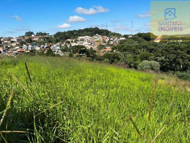 Terreno à venda, 24200 m² por R$ 5.300.000,00 Jardim Céu Azul Campo Largo/PR
